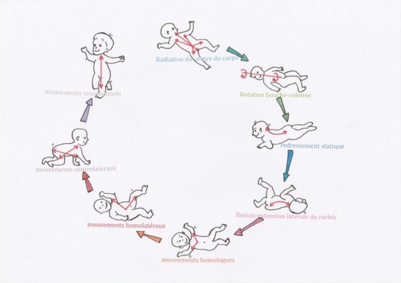Réflexes Archaïques – RGcoaching